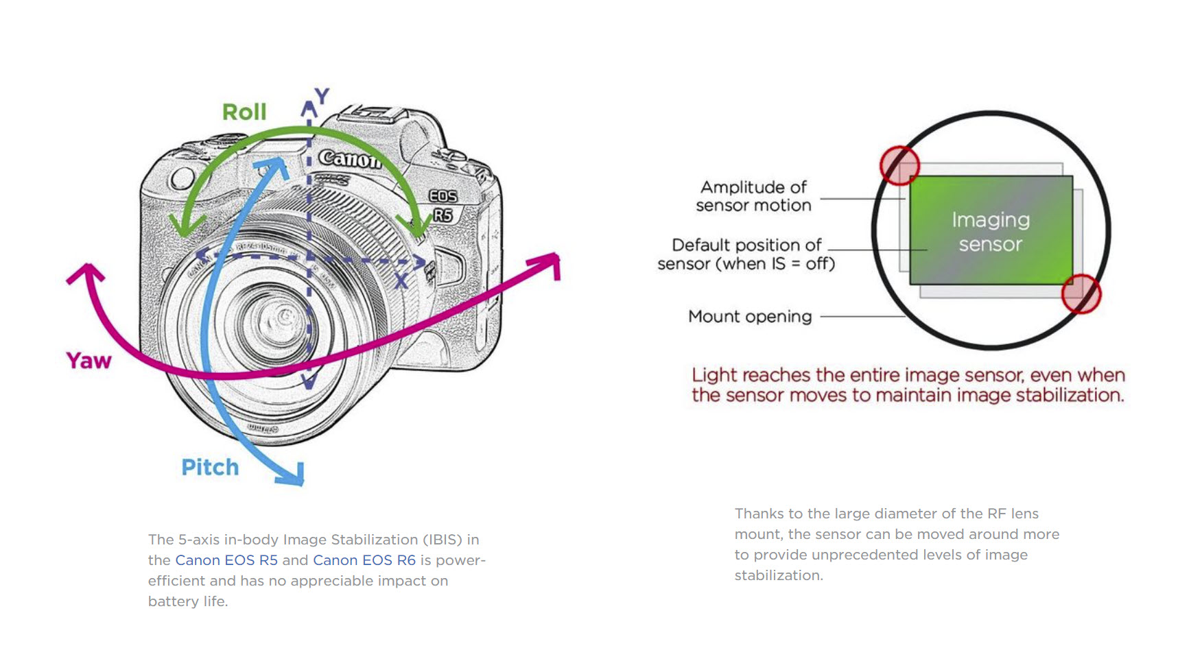Camera IBIS and Lens OIS in Canon EOS R5 – How Good is It?